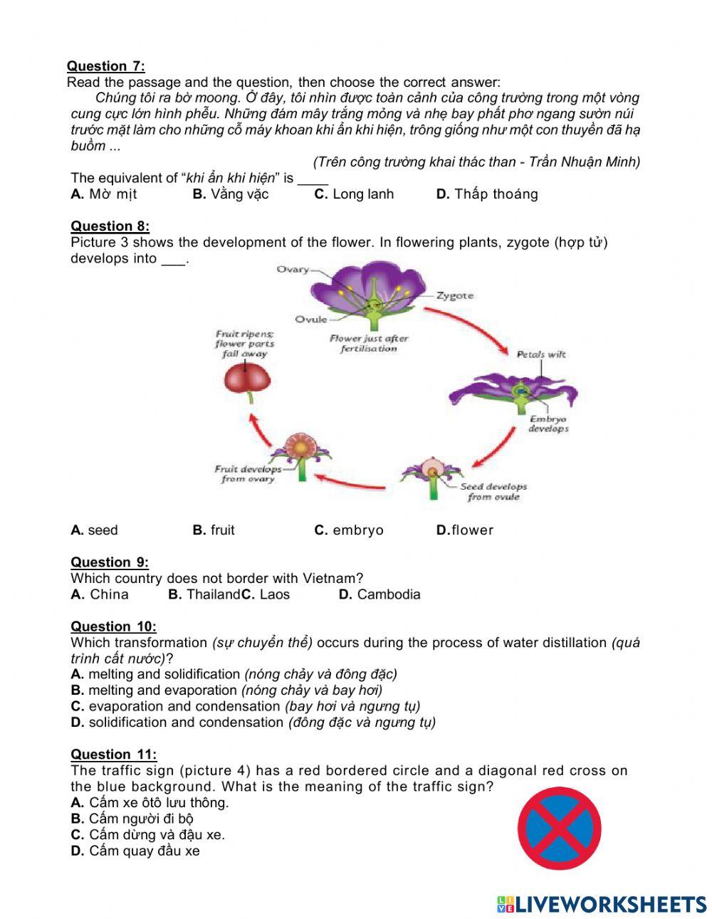 2503230 | EE6 - practice 3 | A12THUYORI | LiveWorksheets