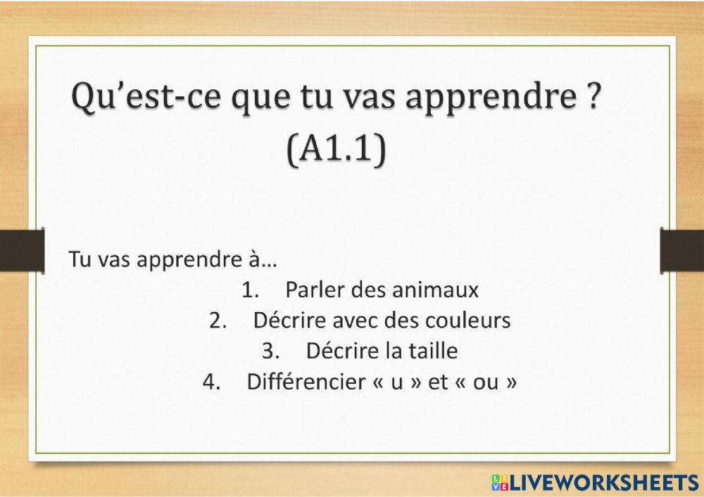 Tu as un animal A1.1 Théorie worksheet | Live Worksheets
