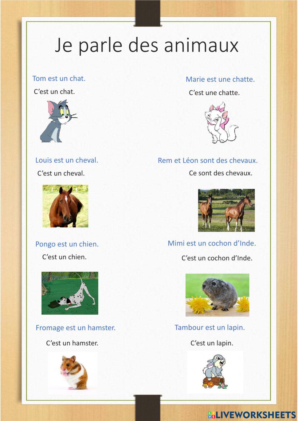 Tu as un animal A1.1 Théorie worksheet | Live Worksheets