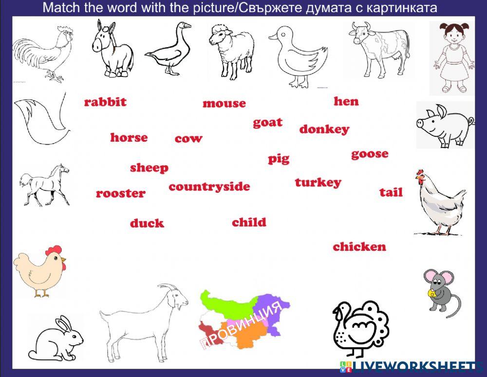 Farm animals online exercise for Grade 3 | Live Worksheets