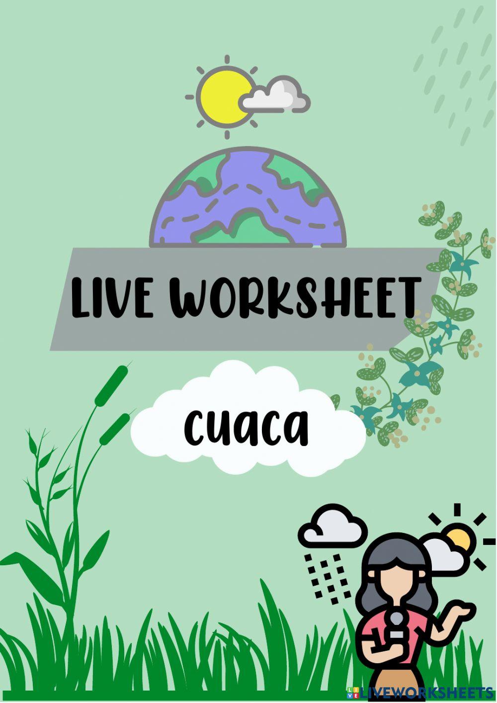 Cuaca exercise for 3 | Live Worksheets