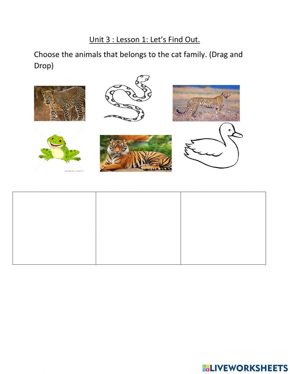 Choose the animals that belong to the cat family. (Drag - Drop) online ...