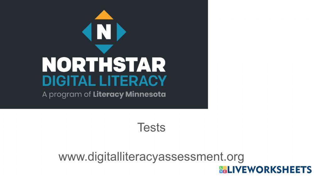 2250331 | Northstar - tests | AngelaB | LiveWorksheets