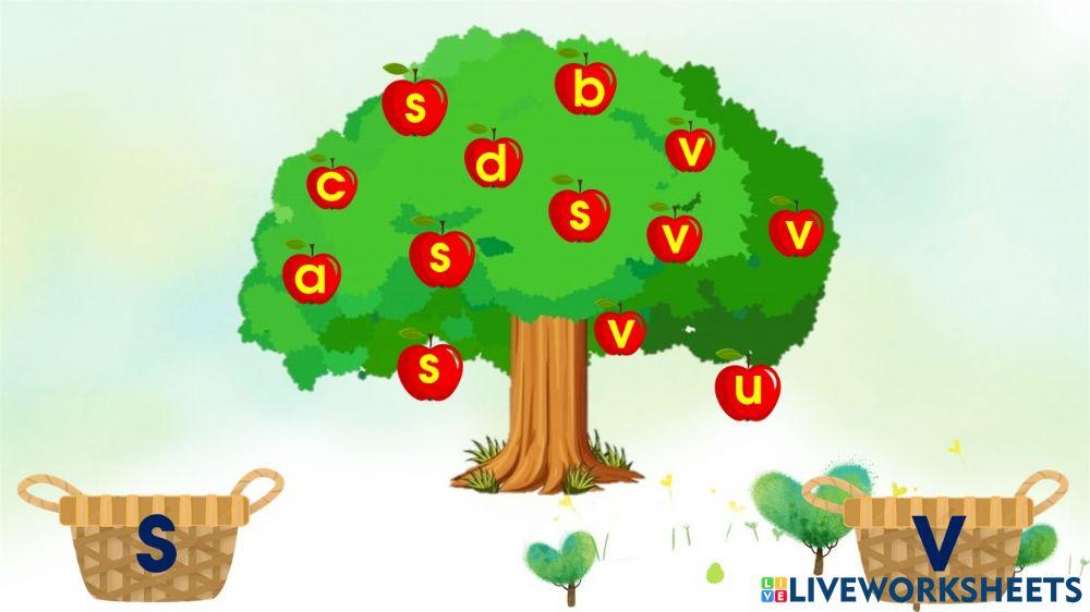 Apple picking 2251835 | Haiyen9992 | Live Worksheets