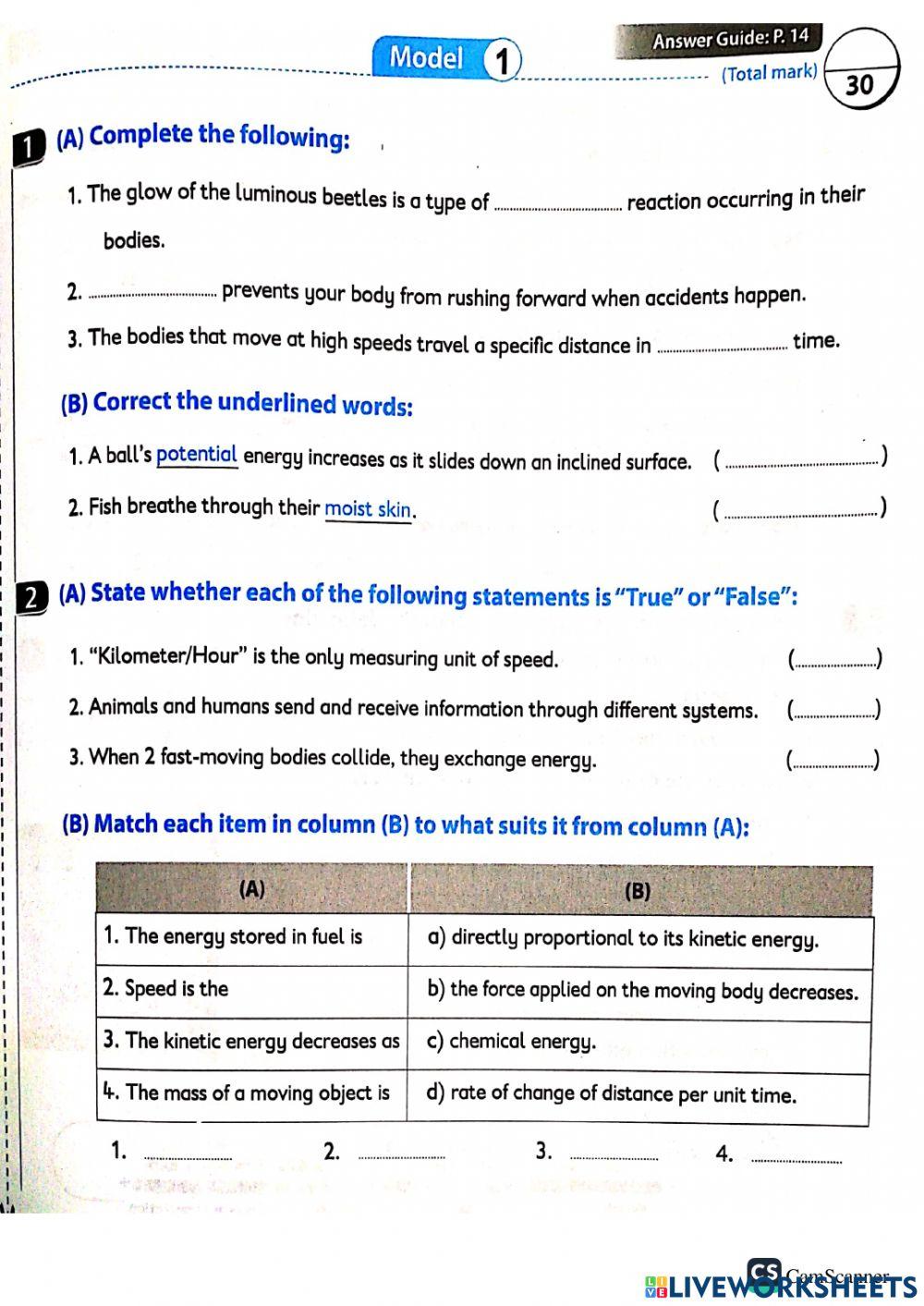 Primary four 2507319 | Manal Adel | Live Worksheets