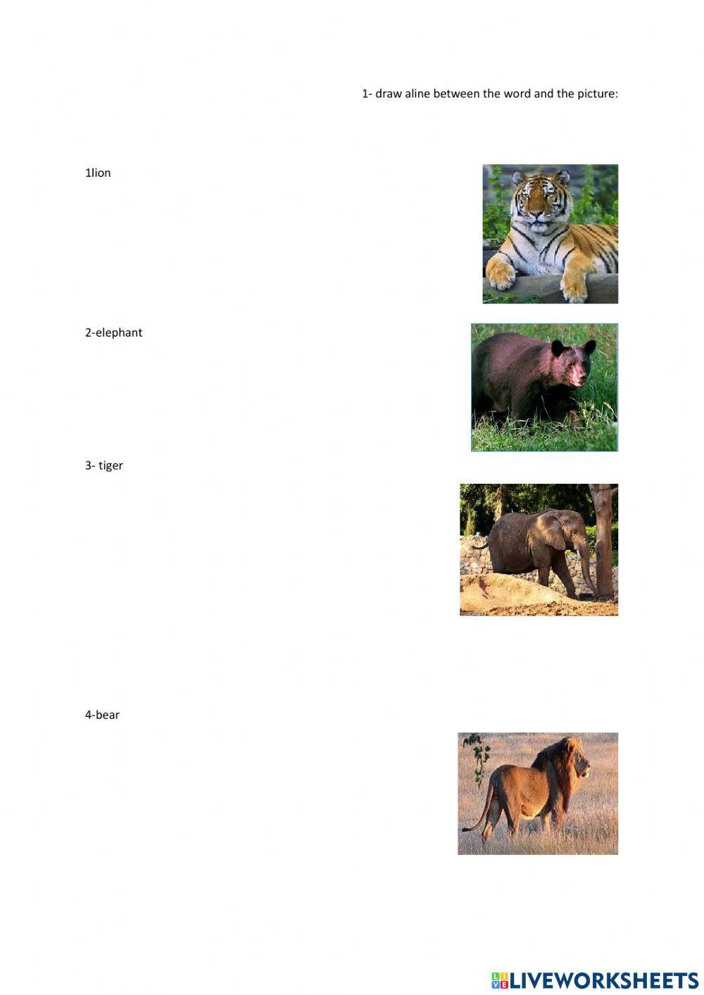 english for 3rd grade online exercise for | Live Worksheets