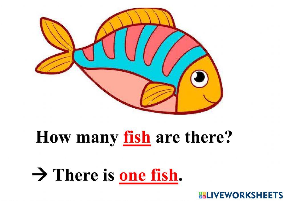 How many - lesson worksheet | Live Worksheets