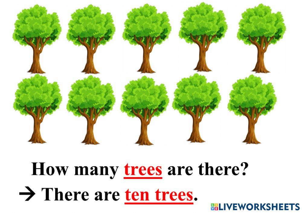 How many - lesson worksheet | Live Worksheets