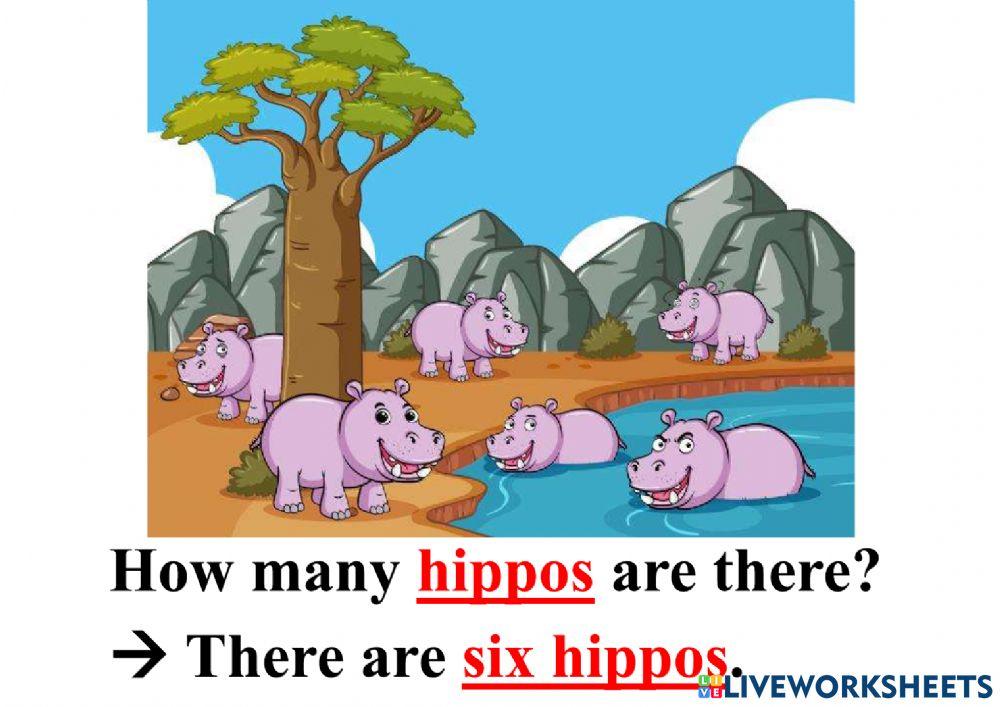 How many - lesson worksheet | Live Worksheets