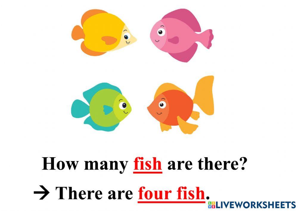 How many - lesson worksheet | Live Worksheets