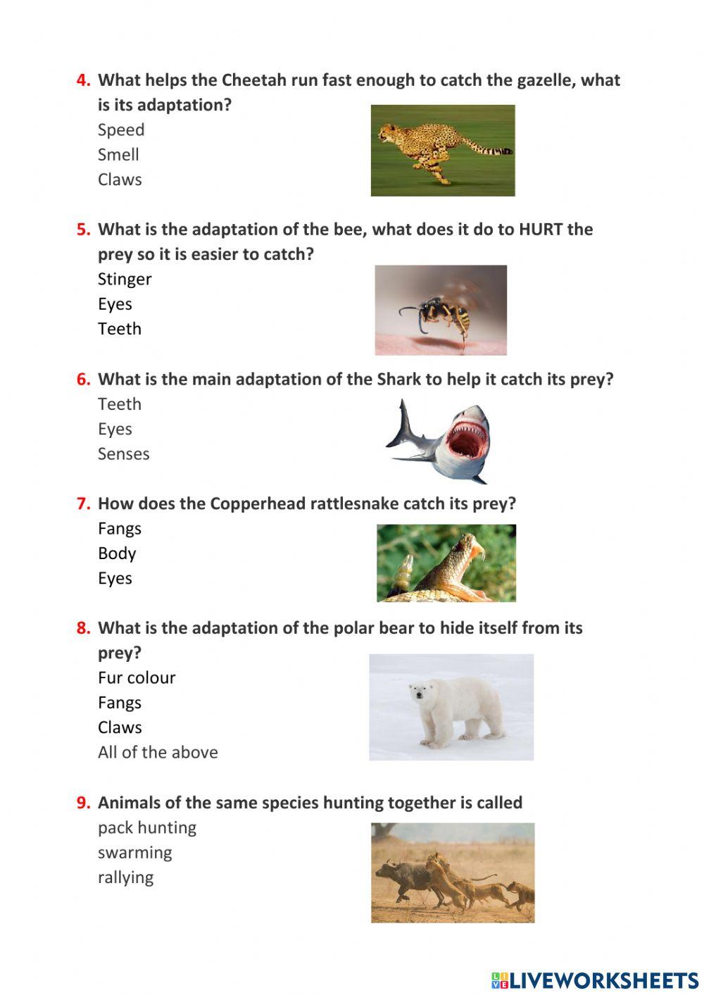 Predator Adapta… | Free Interactive Worksheets | 2254583