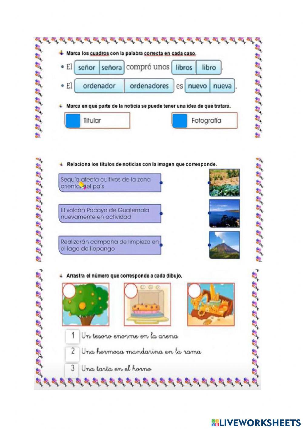 Modelo del programa activity | Live Worksheets
