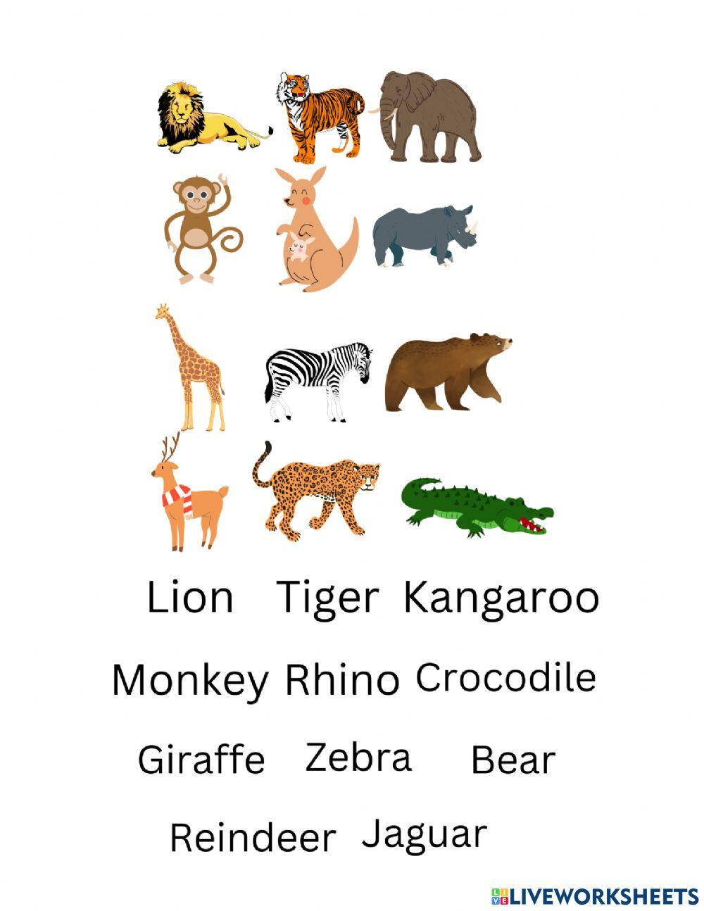 Wild animals online exercise for Grade 1 | Live Worksheets