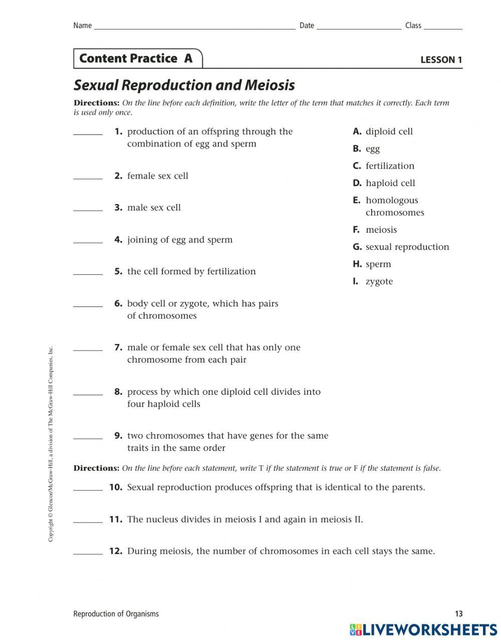 Chapter 4 Lesson 1 Review Sexual Reproduction And Meiosis Online