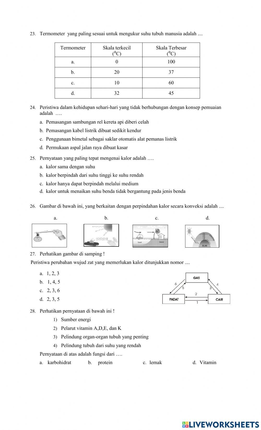Ipa 7 exercise | Live Worksheets