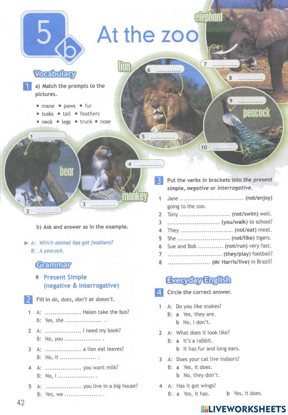 Spotlight 6. Workbook Module 5b worksheet | Live Worksheets