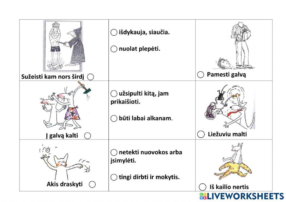 2494542 | Vaizdingi posakiai - frazeologizmai | Mokykis