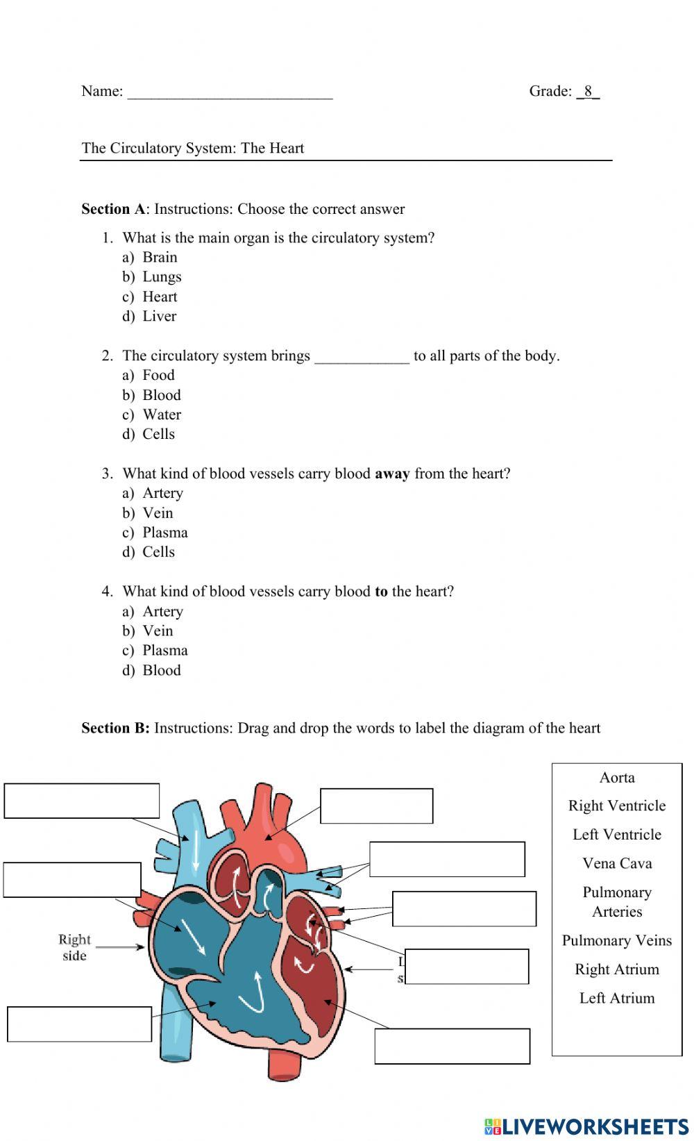 The Circulatory System Interactive Activity Live Worksheets, 58% OFF The Circulatory System Interactive Activity Live Worksheets, 58% OFF