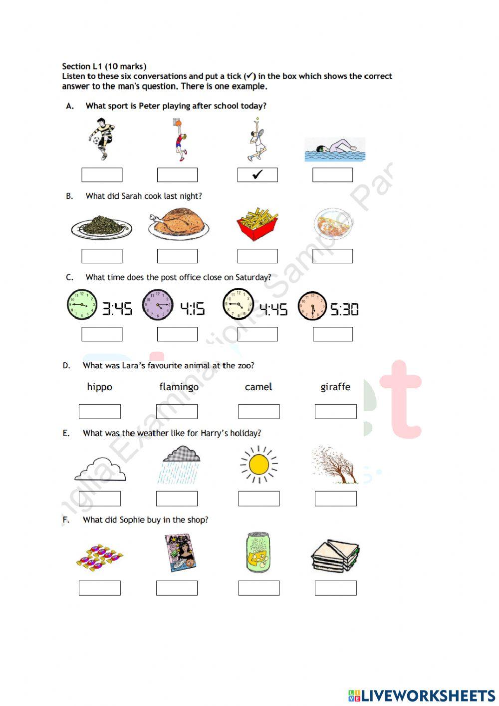Preliminary - Written Exam worksheet | Live Worksheets