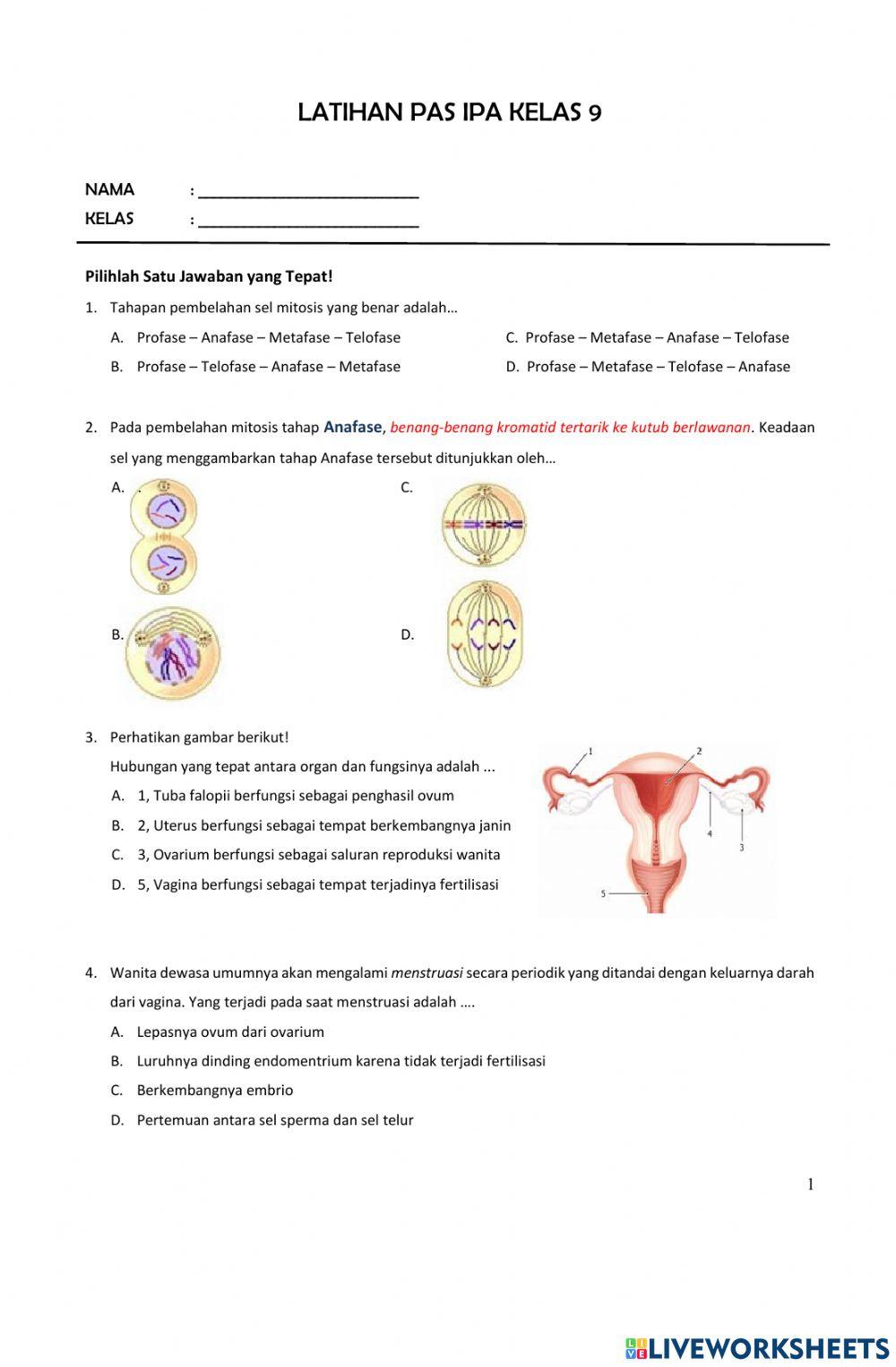 Latihan pas ipa 9 worksheet | Live Worksheets