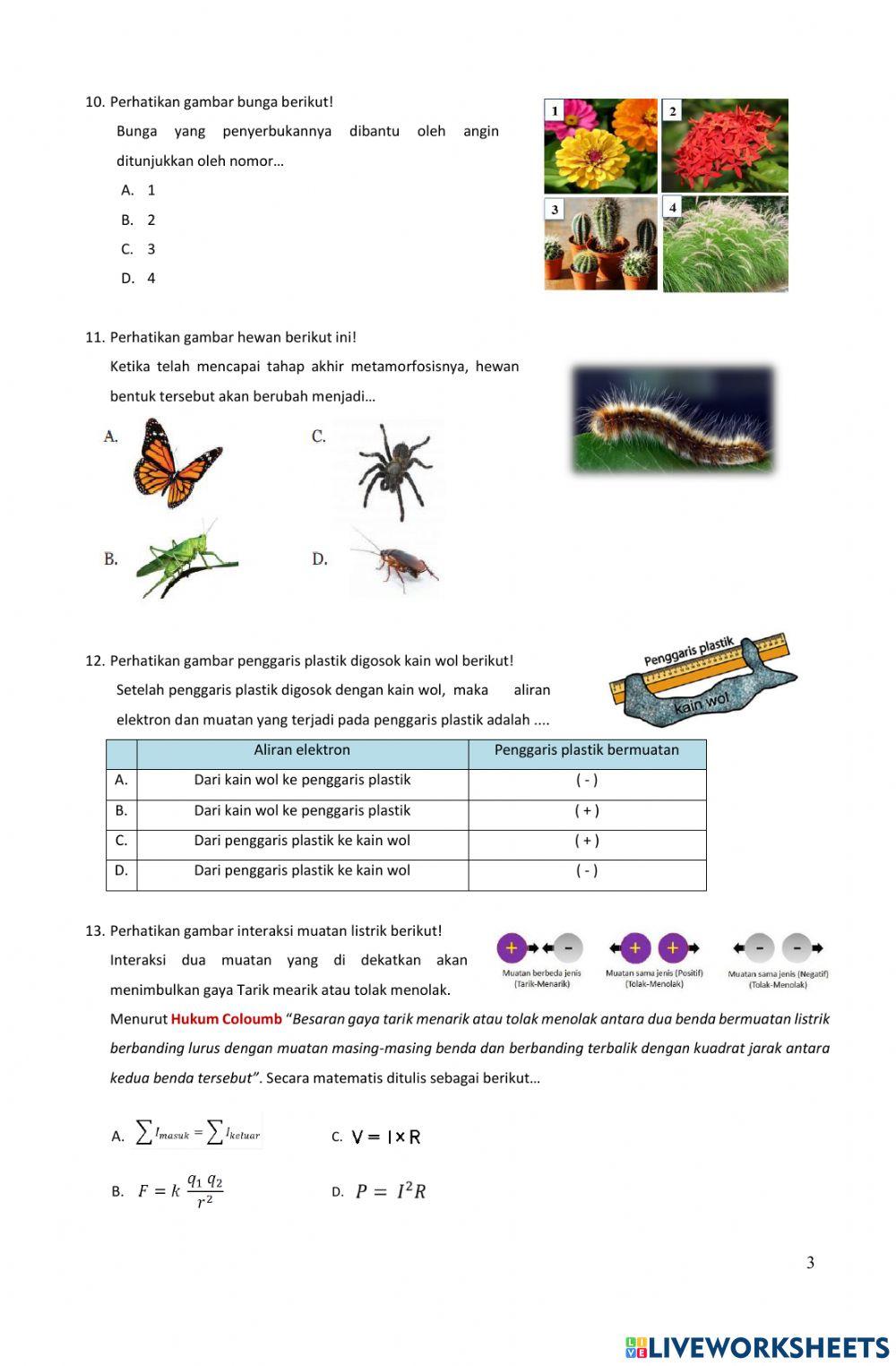 Latihan pas ipa 9 worksheet | Live Worksheets