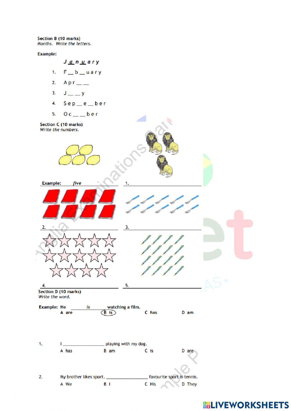 Piaget - Junior Final Exam worksheet | Live Worksheets