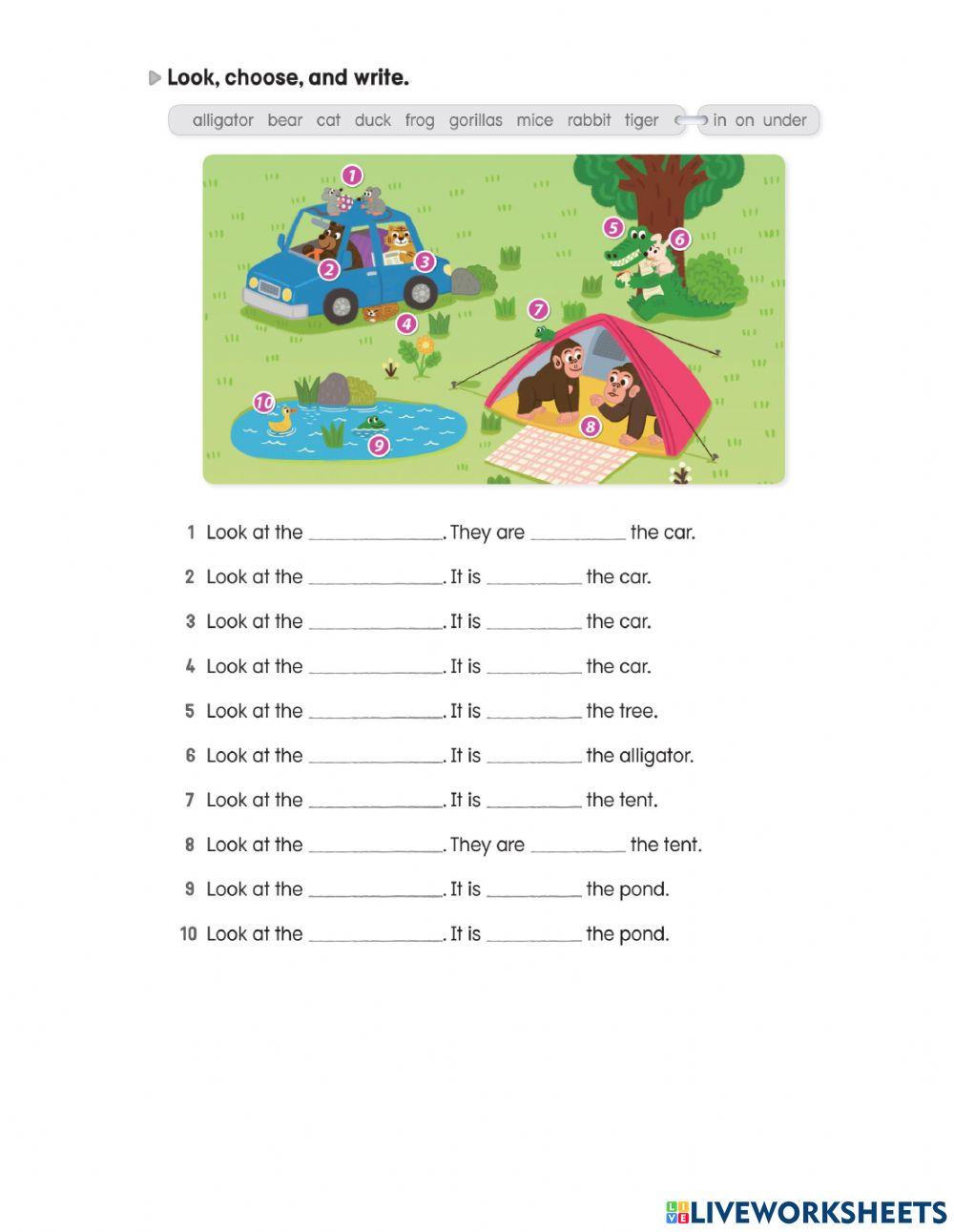 My first grammar 1- ws 11 worksheet | Live Worksheets