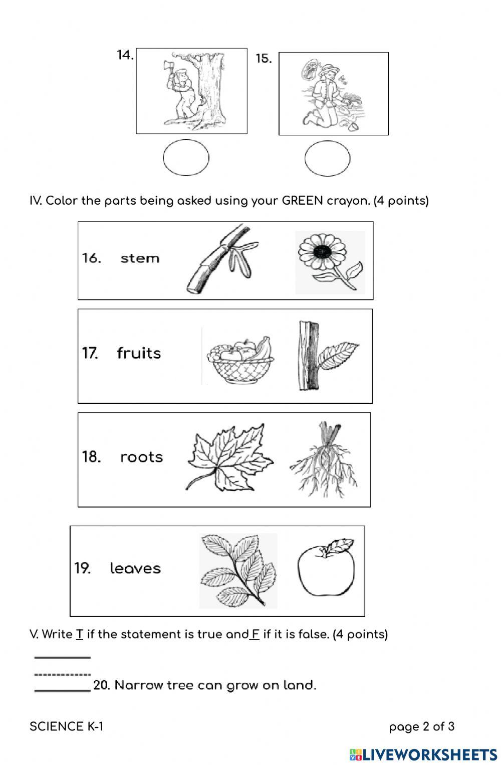 2nd Quarterly Exam in Science Kinder 1 online exercise for | Live ...