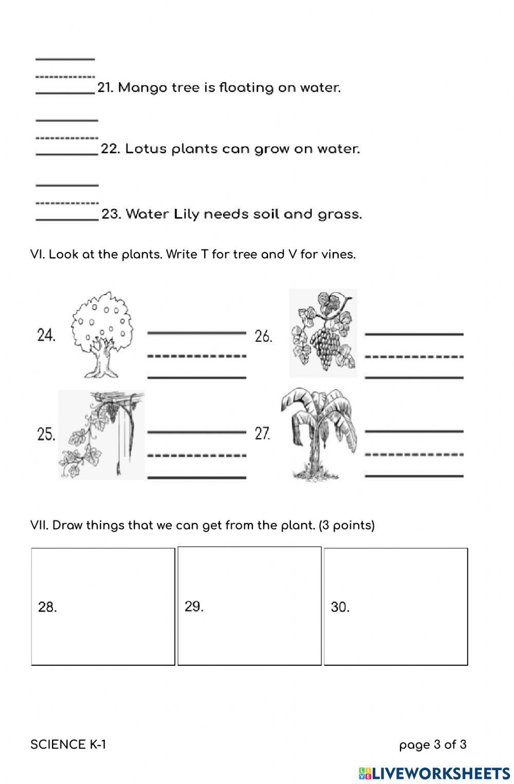 2nd Quarterly Exam in Science Kinder 1 online exercise for | Live ...