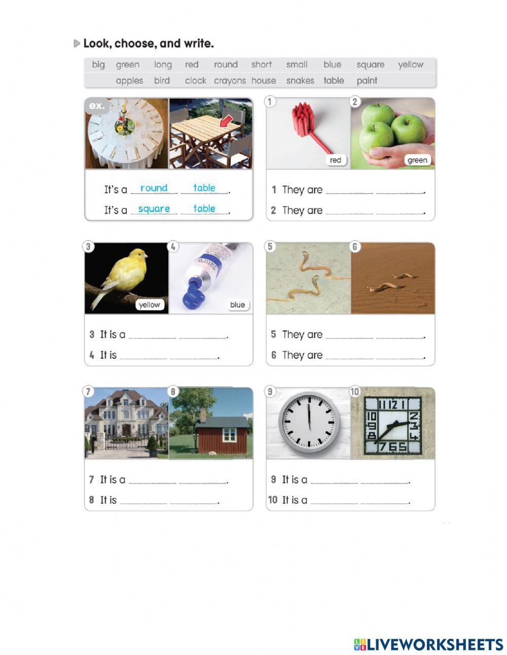 My first grammar 1- ws 12 worksheet | Live Worksheets