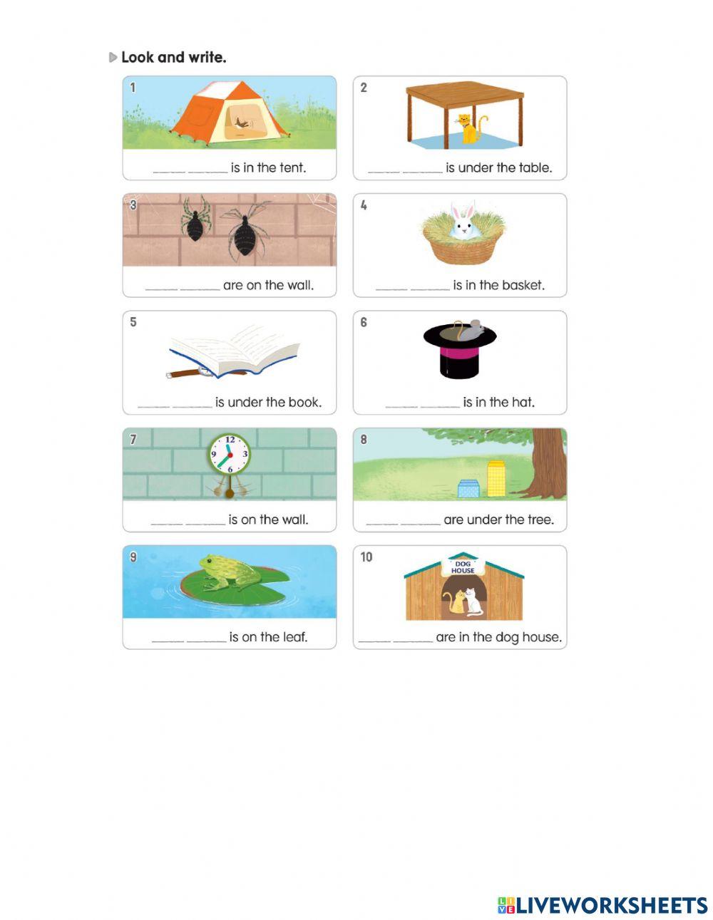 2237423 | My first grammar 1- ws 13 | Lê Thị Thúy