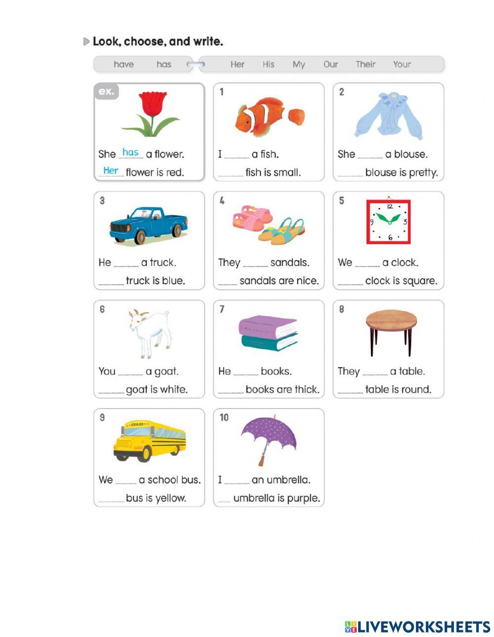 2237431 | My first grammar 1- ws 16 | Lê Thị Thúy