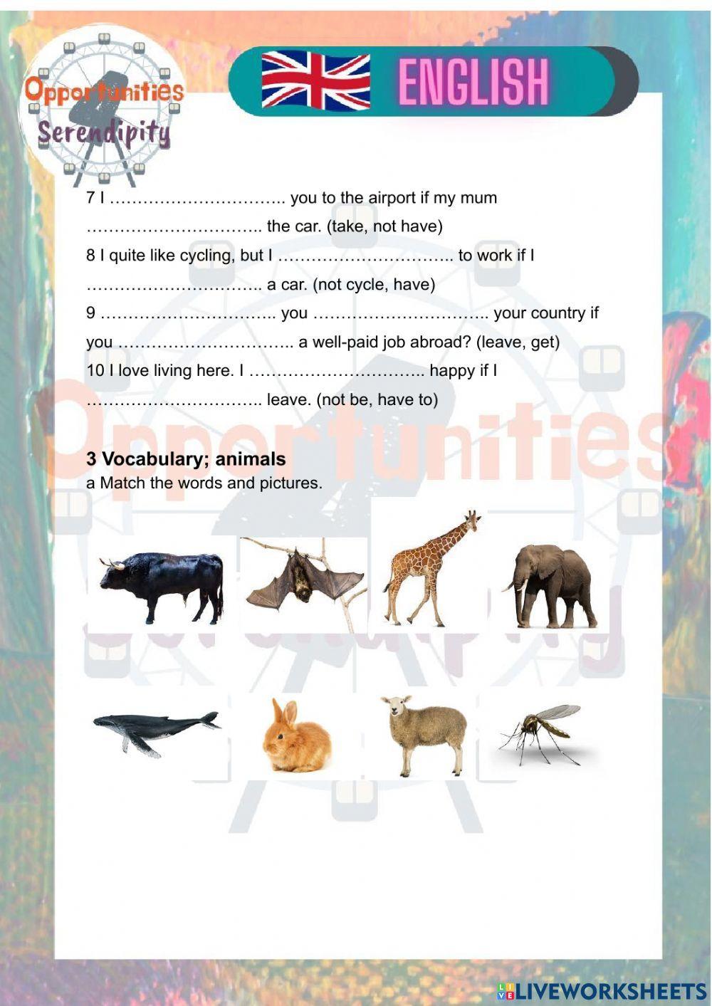 Unit 9A, pre-intermediate (part 2) worksheet | Live Worksheets