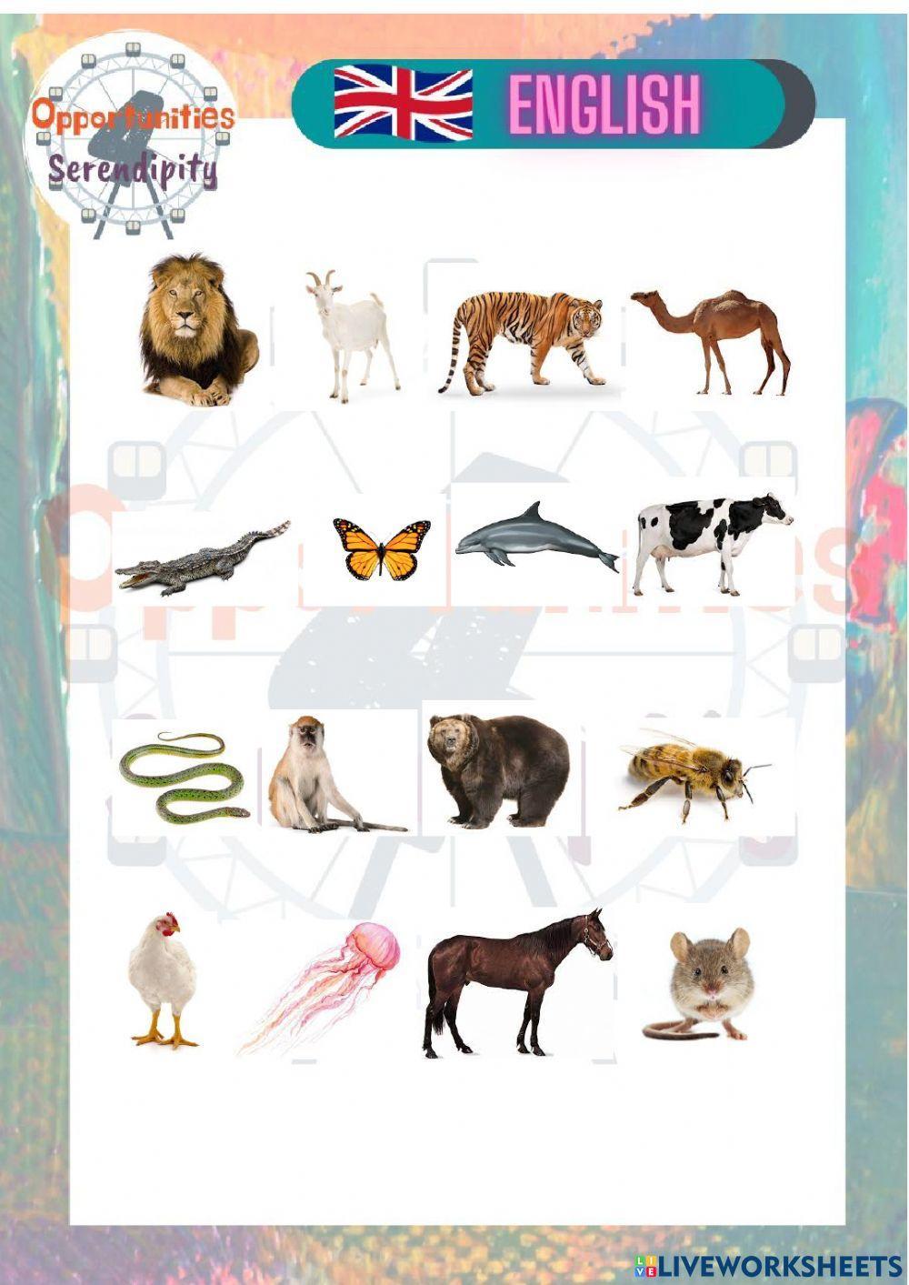 Unit 9A, pre-intermediate (part 2) worksheet | Live Worksheets