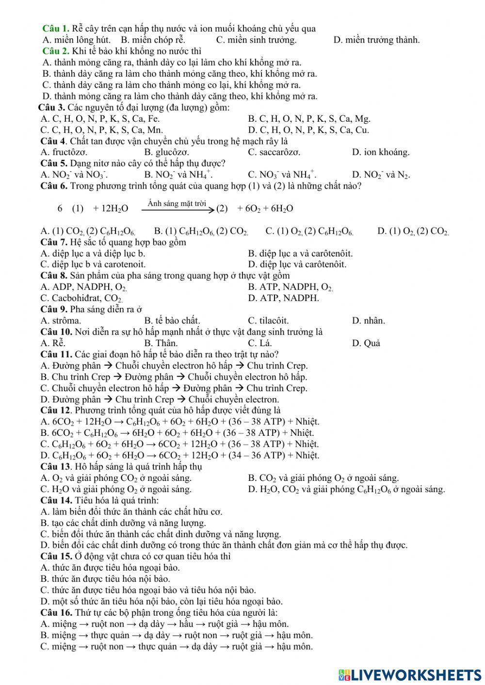 Thi thử online worksheet | Live Worksheets