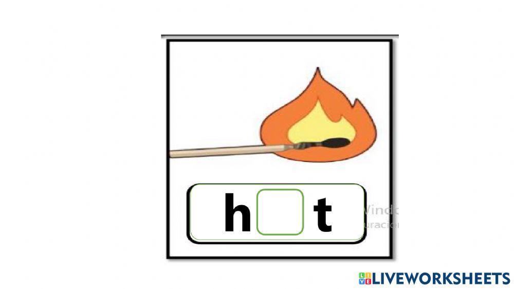 Cvc vowel o short sound 1839722 | PAMELA GUM | Live