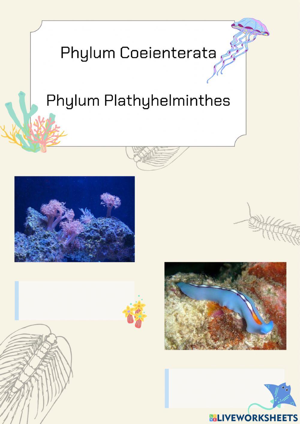 Studen worksheet | Live Worksheets