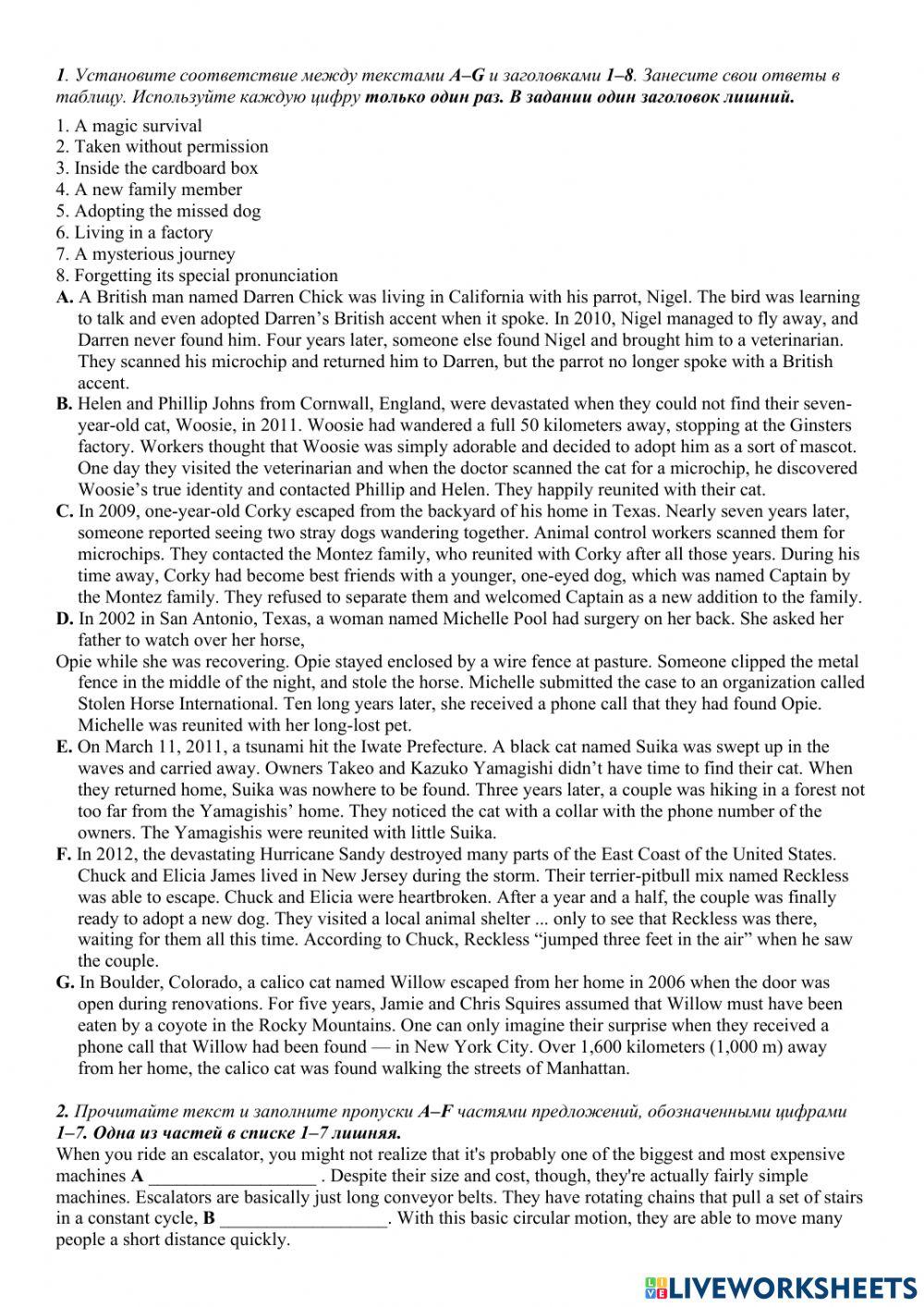 Reading Use of English 2 worksheet | Live Worksheets