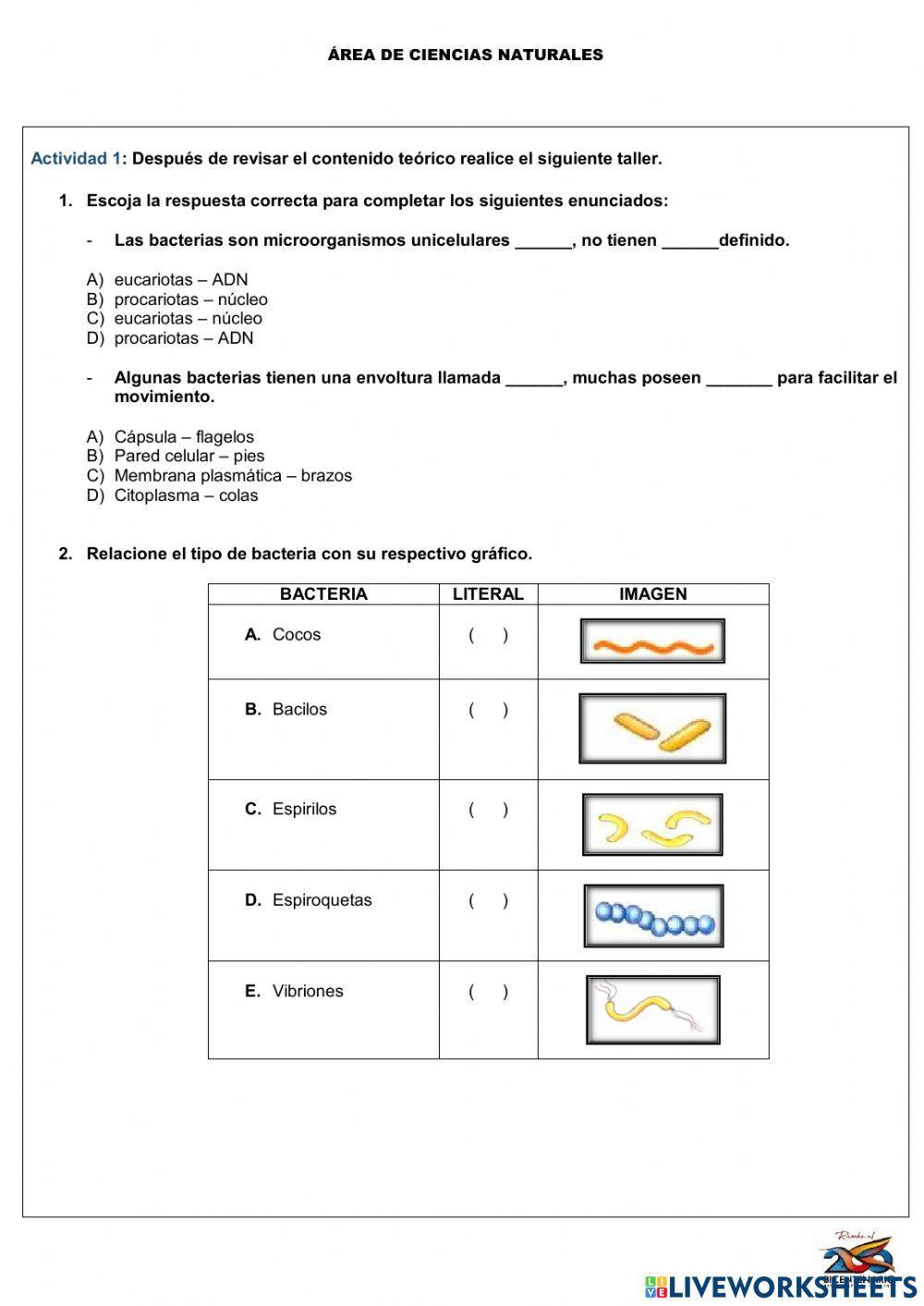 Bacterias interactive activity | Live Worksheets