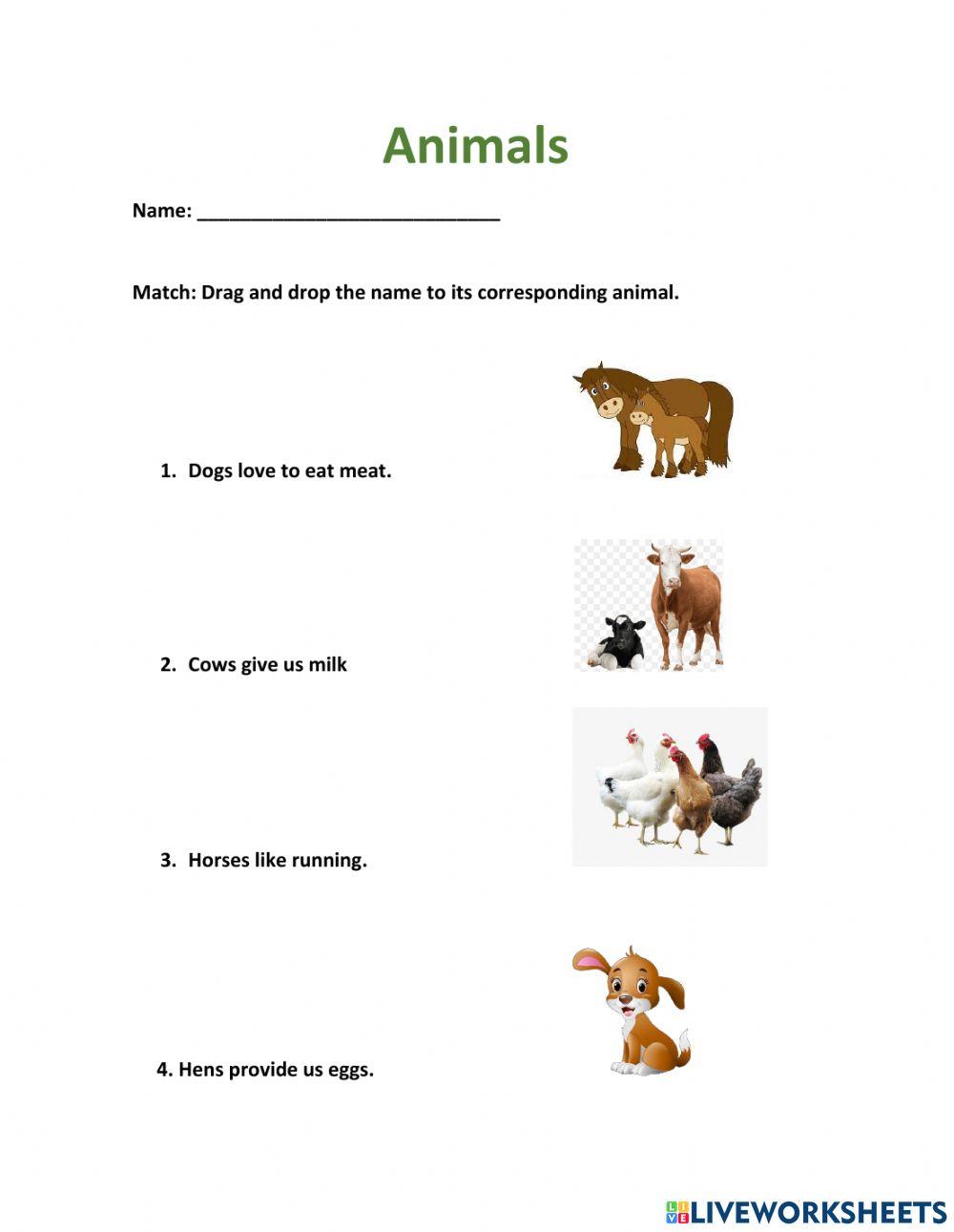 Animals online exercise for Third Grade | Live Worksheets