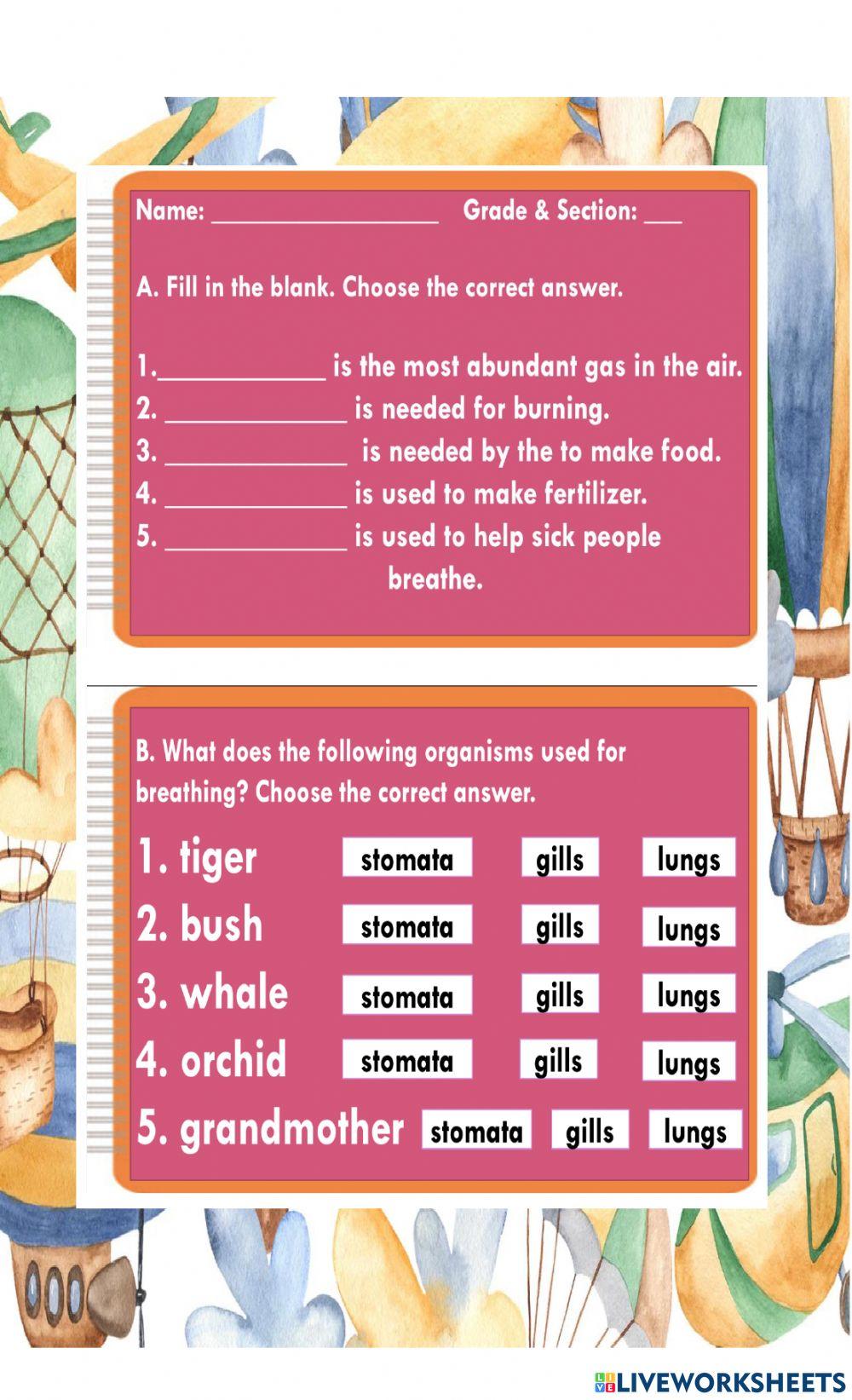 Use of Air and How Organisms Breathe worksheet | Live Worksheets