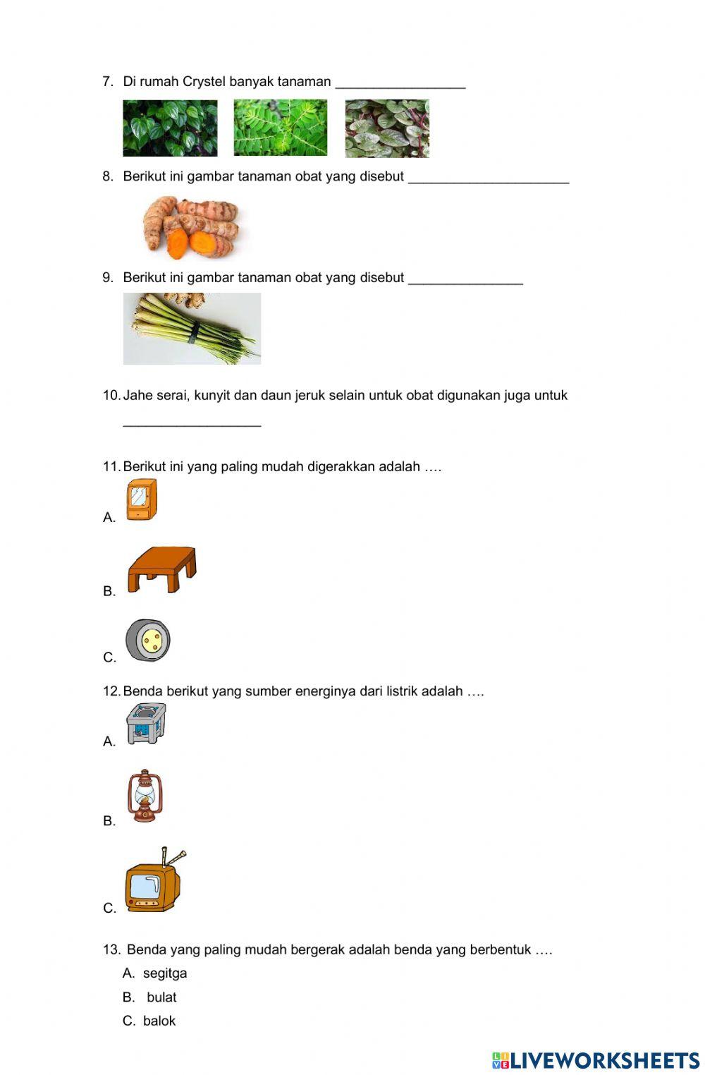 Ulangan IPA1 1864072 | el_Bertha | Live Worksheets