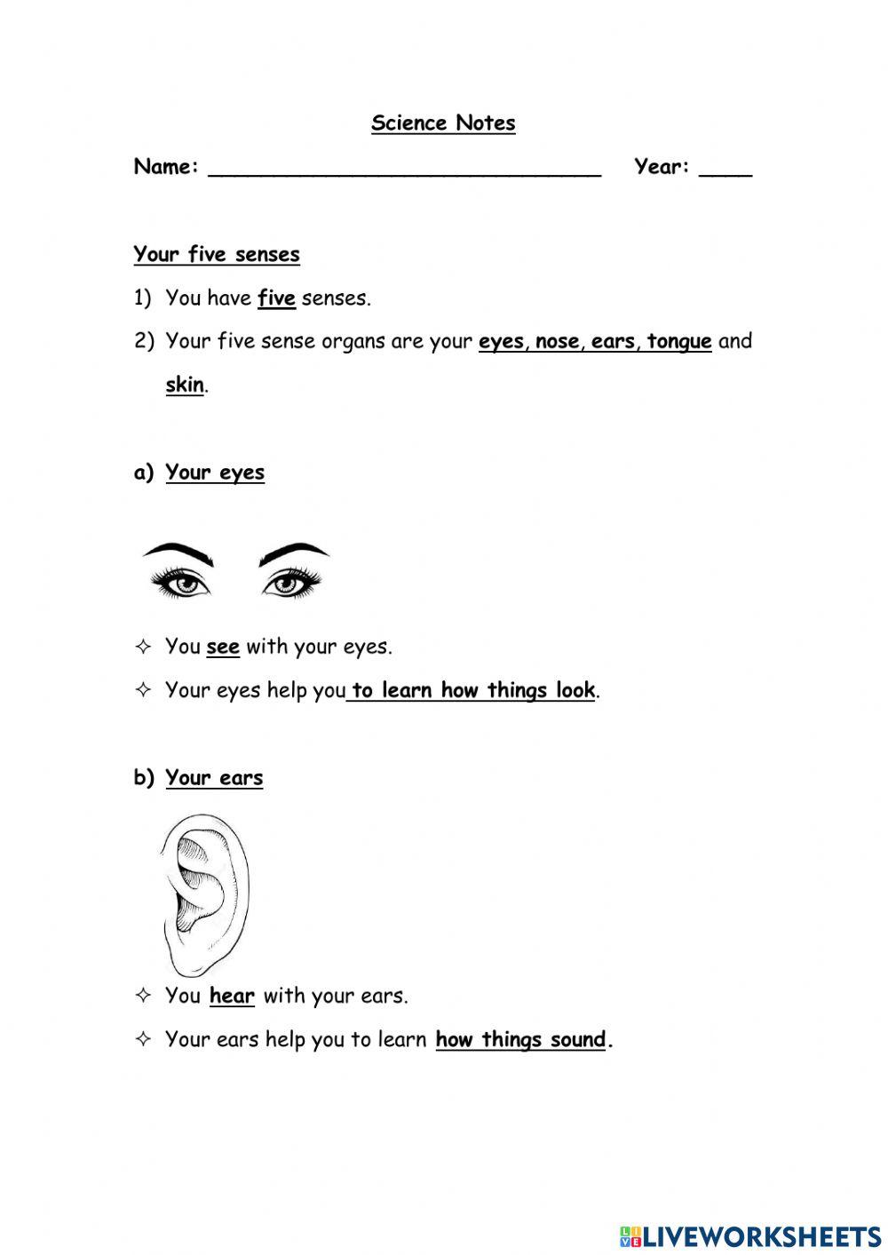 Science: Your five senses Year 1 online exercise for | Live Worksheets