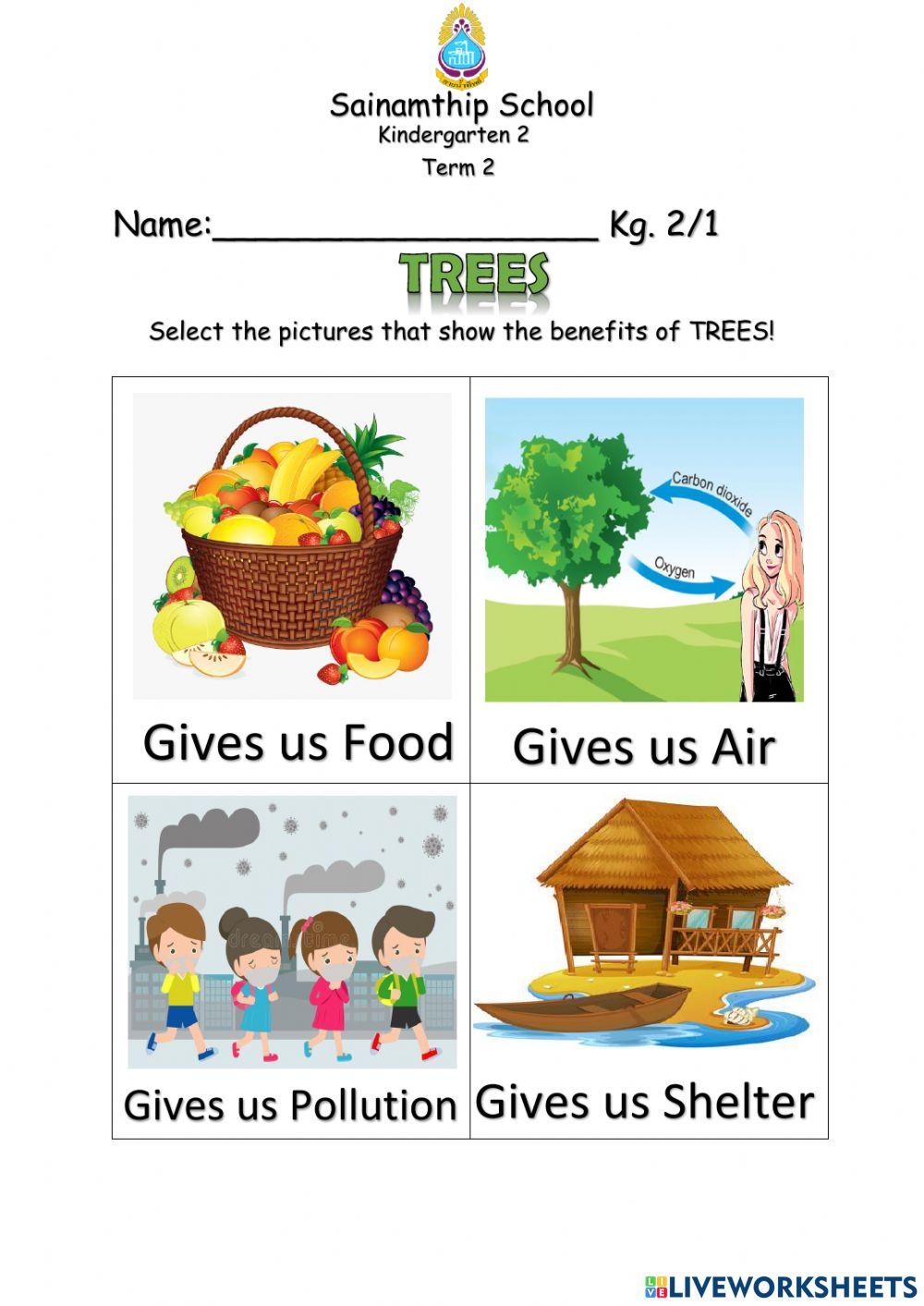 vanessamae | Benefits of trees 1867229 | LiveWorksheets