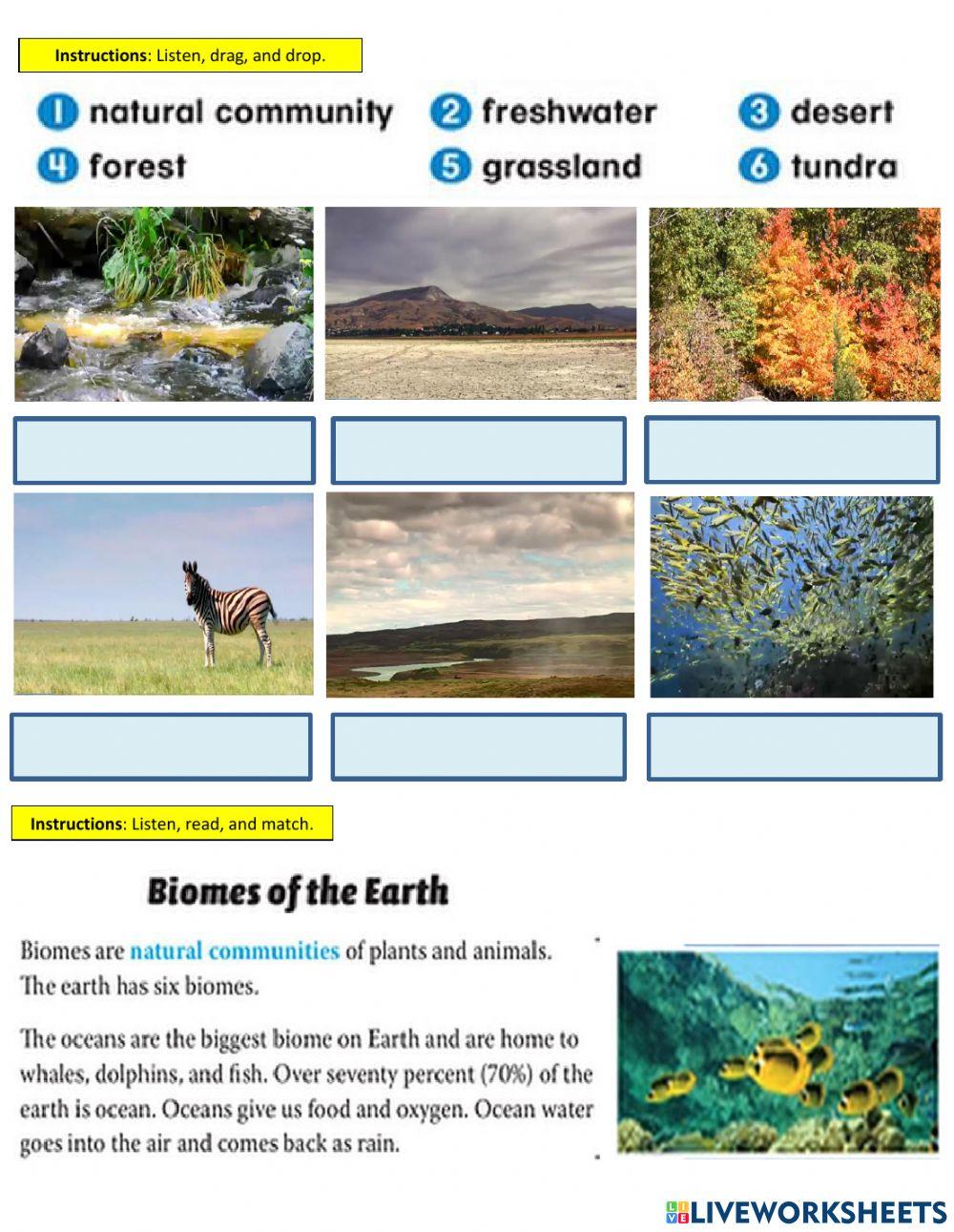 Reading Review Superlatives worksheet | Live Worksheets