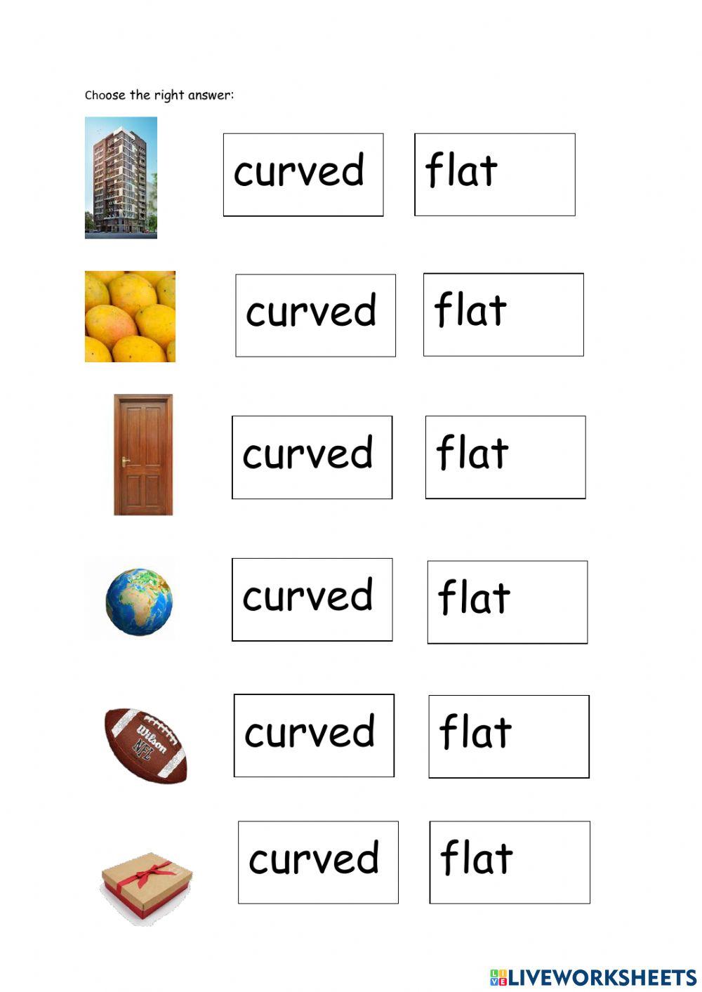 Flat And Curved Surfaces Worksheet - prntbl.concejomunicipaldechinu.gov.co Flat And Curved Surfaces Worksheet - prntbl.concejomunicipaldechinu.gov.co