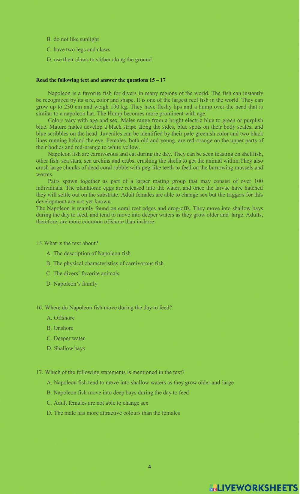 students' works… | Free Interactive Worksheets | 5299174