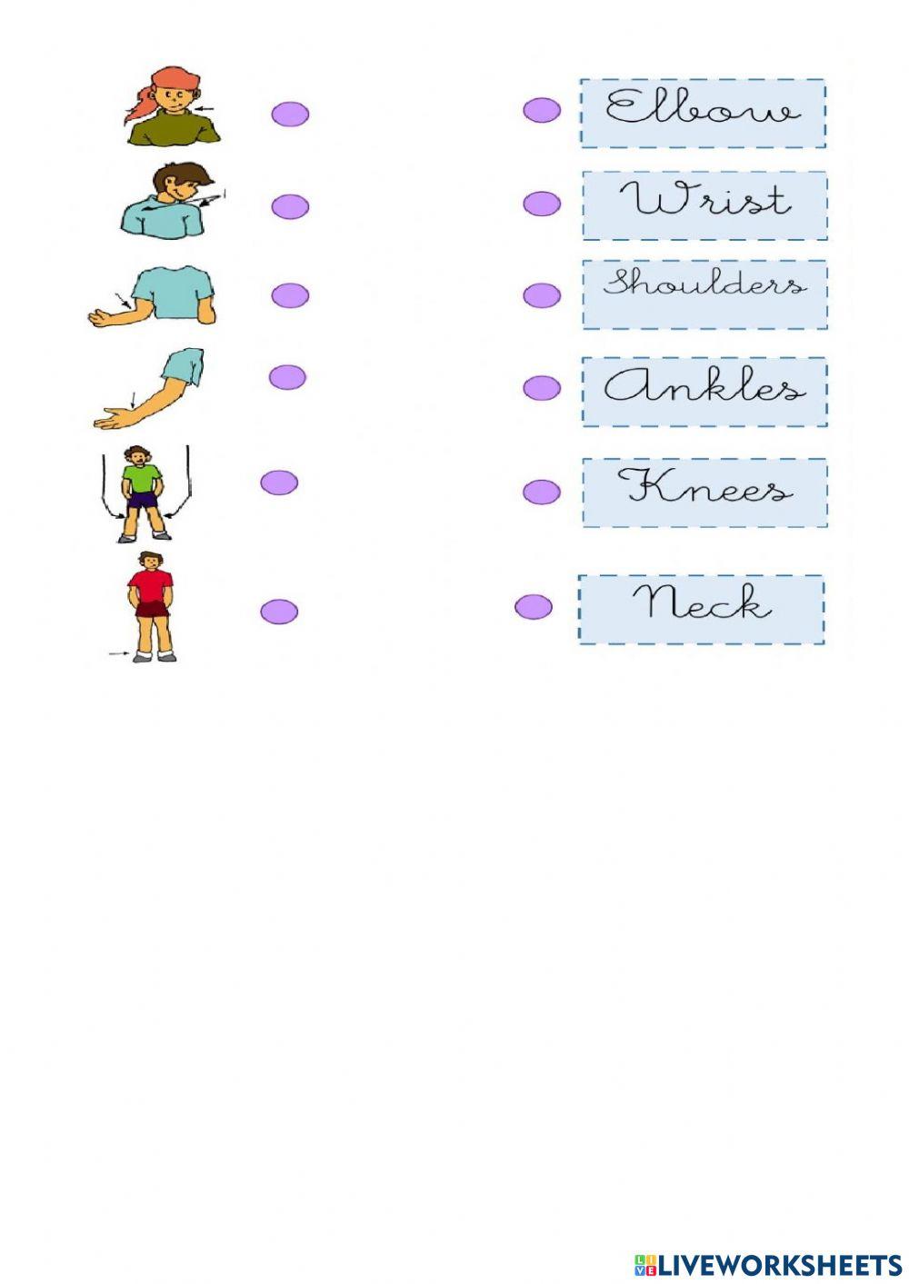 Locomotor system and 5 senses worksheet | Live Worksheets