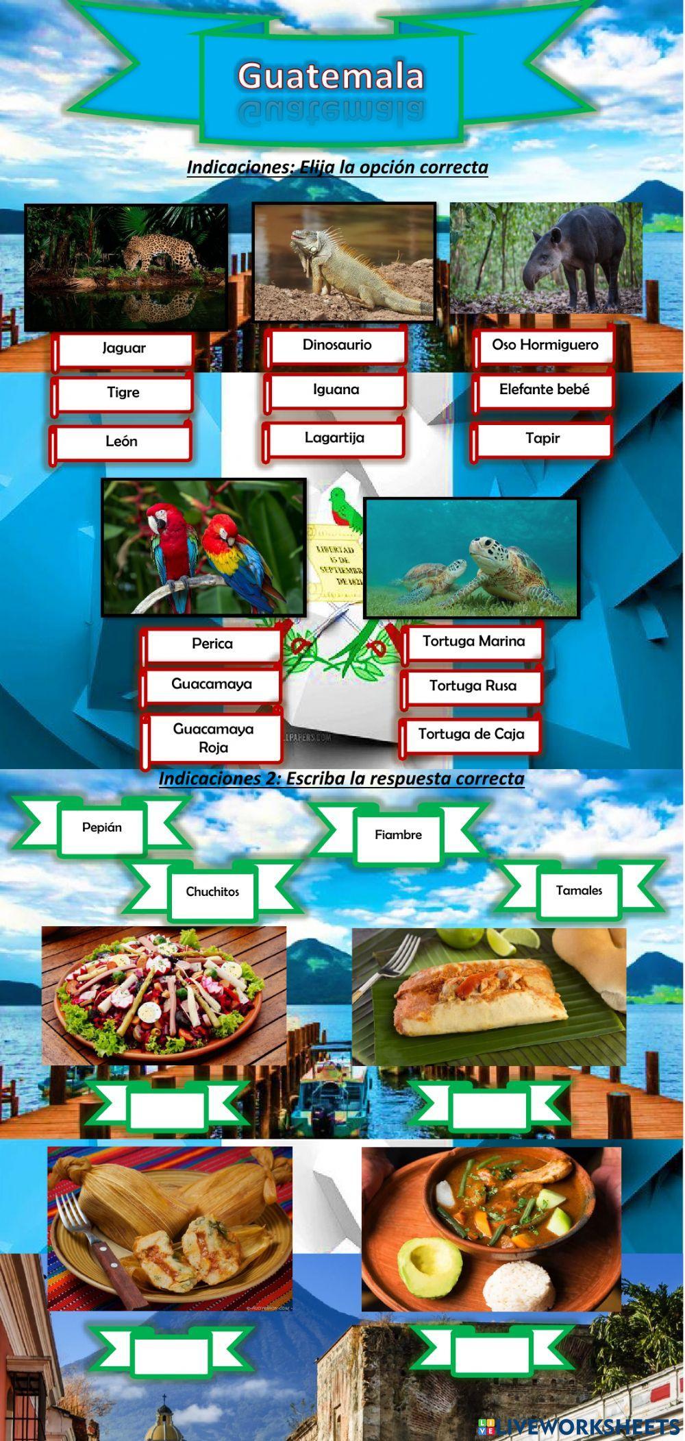 1872471 | Guatemala | Angel Berdúo | LiveWorksheets