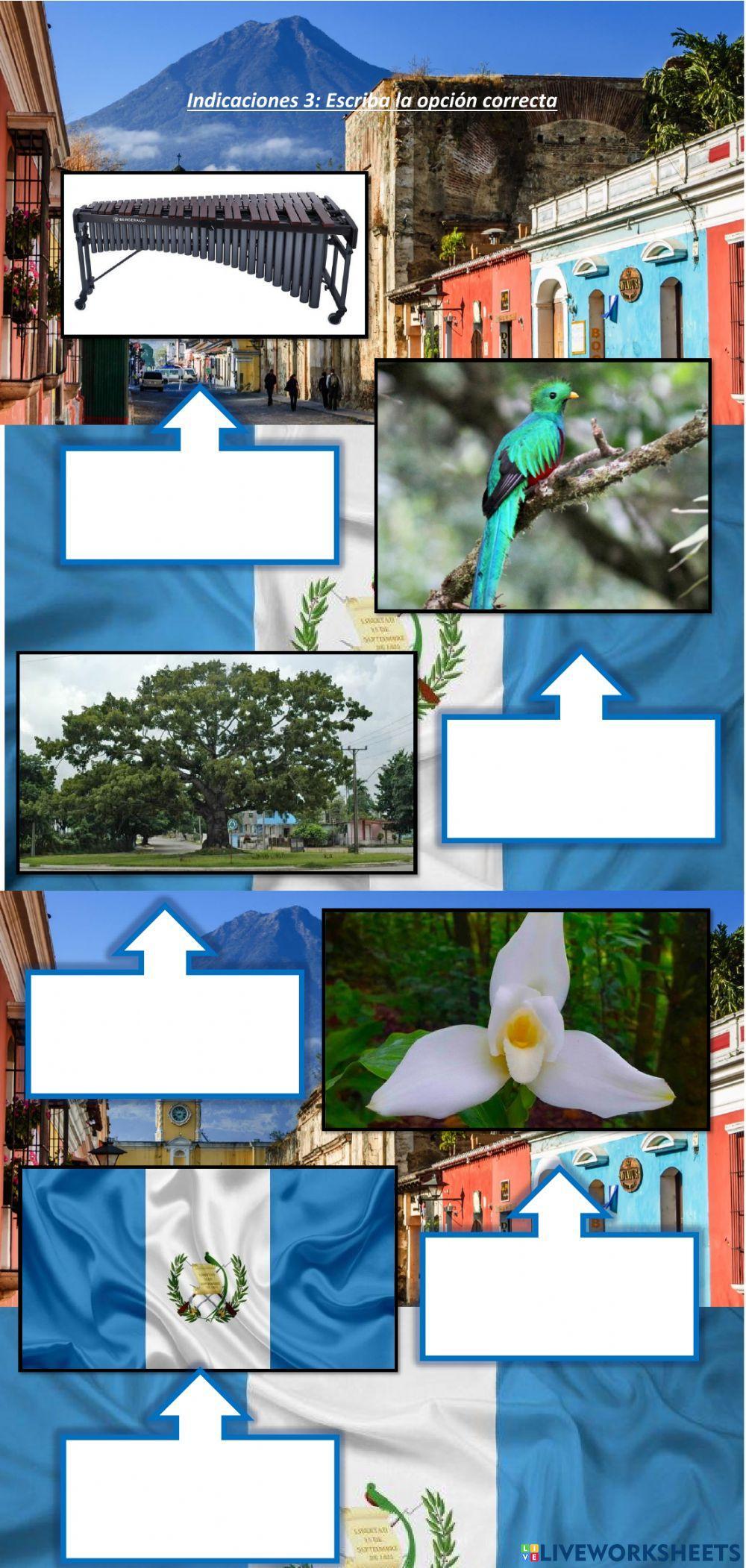 1872471 | Guatemala | Angel Berdúo | LiveWorksheets